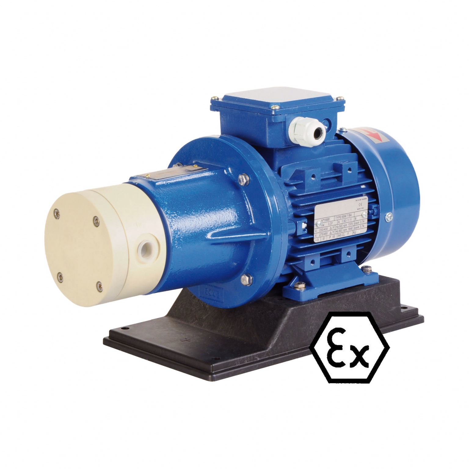 EM-P PP/PVDF ATEX mag drive rotary vane pumps