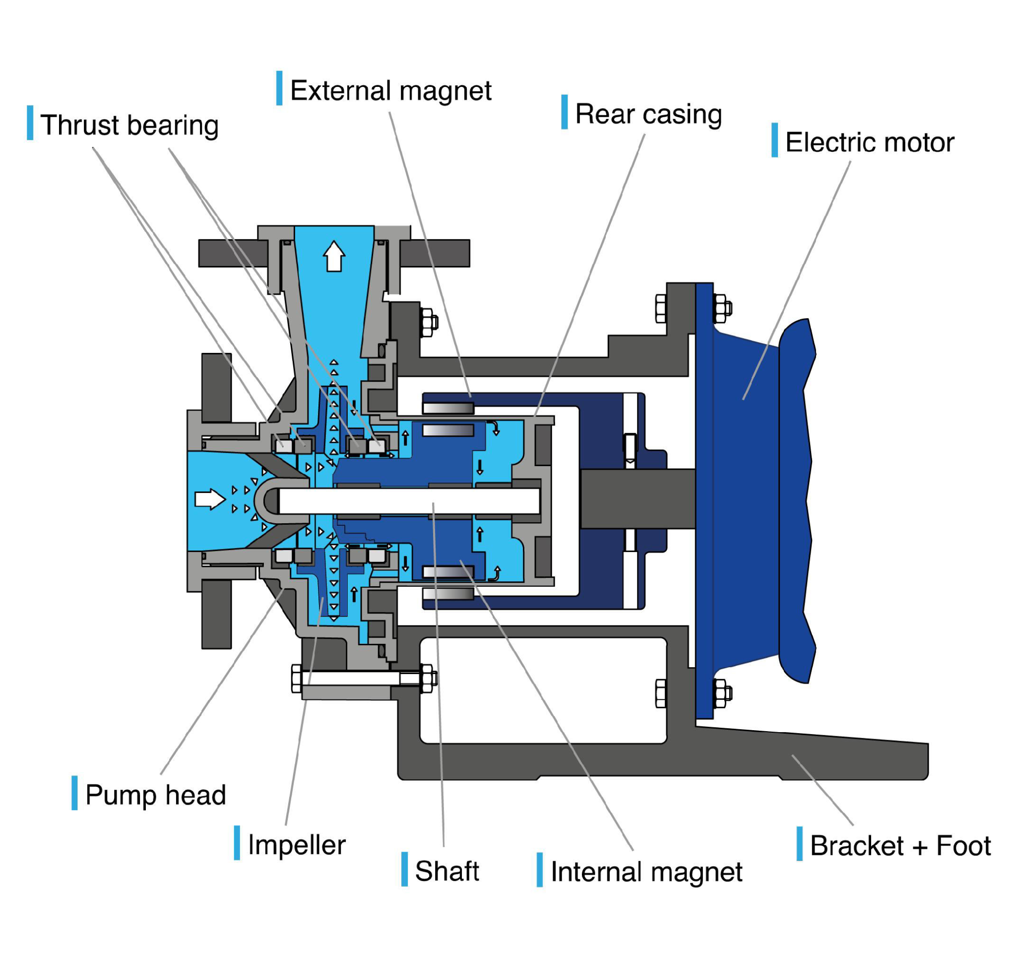 Sealless magnetic drive pumps - GemmeCotti
